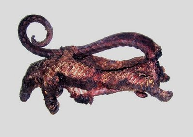 Five tons of bushmeat smuggled into Paris each week – Desdemona Despair